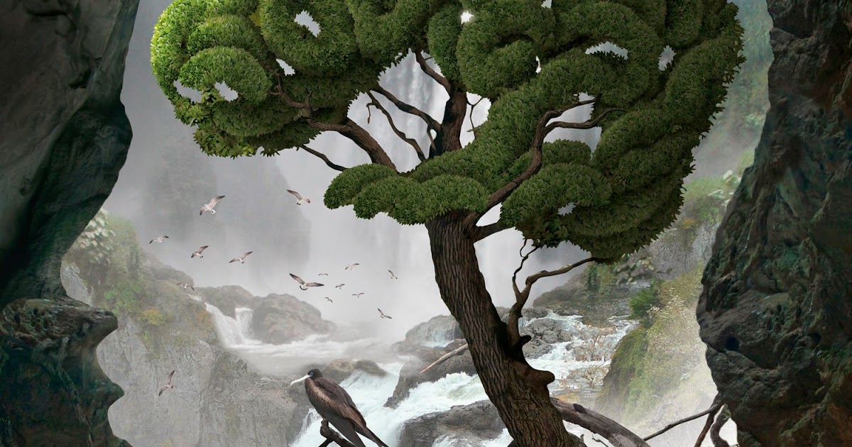 NDD -Nature Deficit Disorder – openhandspublications.com